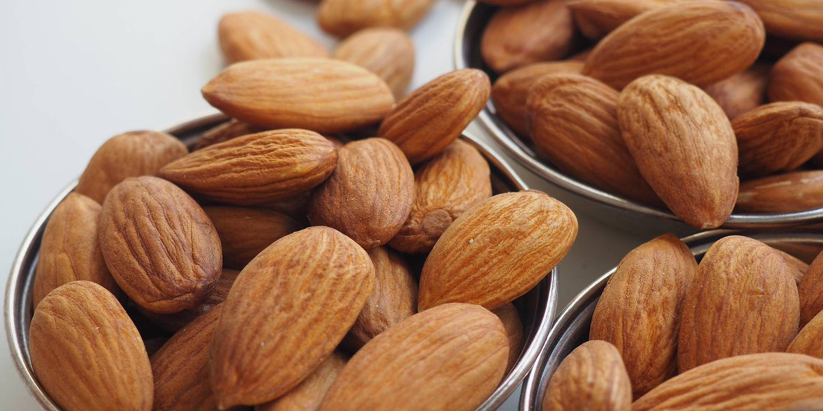 Kuru Kayısı - Kayısı Kabukları ve Granülleri | Yelisan Group